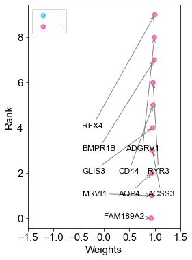 4-7. MOFA下游分析-Python环节 - Bioinformatic Tutorial (Daxing Research)